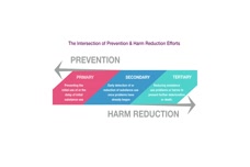 Sage Video - Harm Reduction: Nursing Implications
