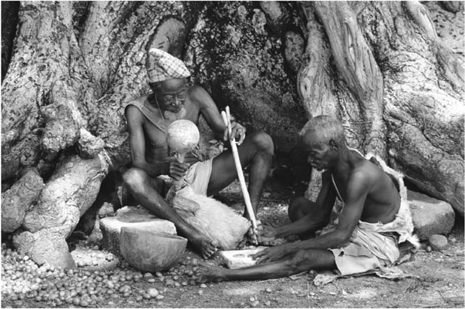 Sage Reference - Encyclopedia of African Religion - Divination Systems