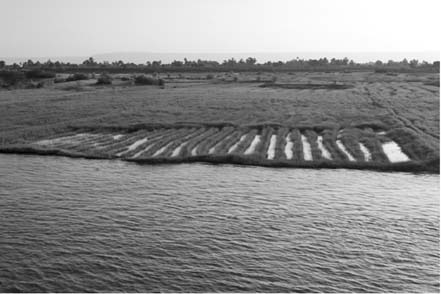 Sage Reference - Encyclopedia of African Religion - Hapi