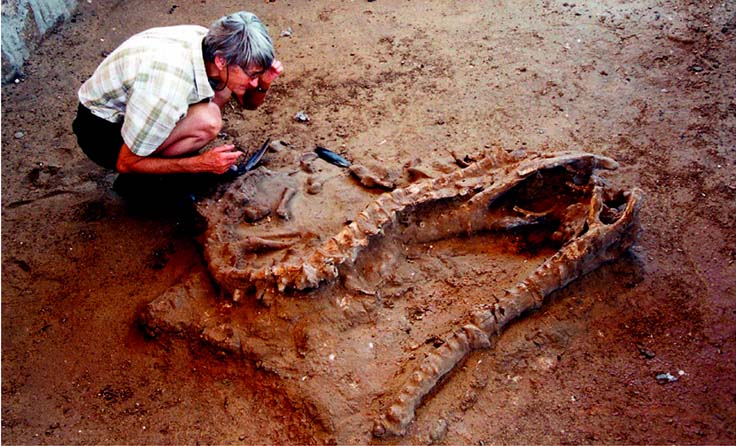 Sage Reference - Encyclopedia of Anthropology - Leakey, Meave Epps (1942–)