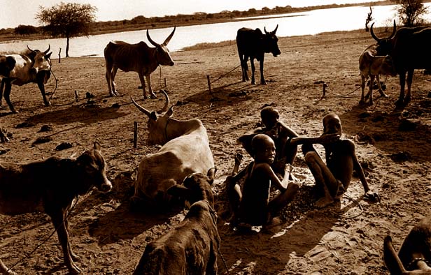 Sage Reference - Encyclopedia of Anthropology - Evans-Pritchard, Edward ...