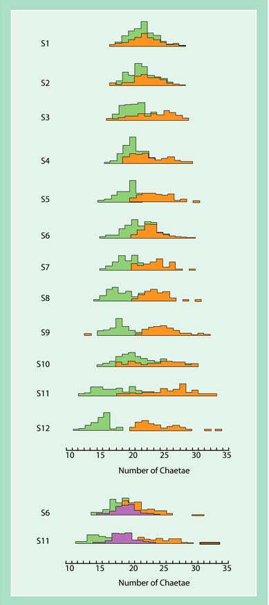 Sage Reference - Encyclopedia of Anthropology - Evolution, Organic