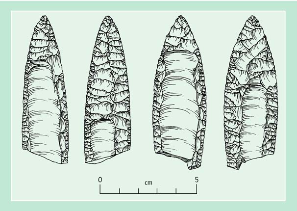 Sage Reference - Encyclopedia of Anthropology - Folsom Culture