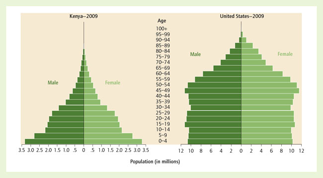 Sage Reference - Encyclopedia of Geography - Population Pyramid