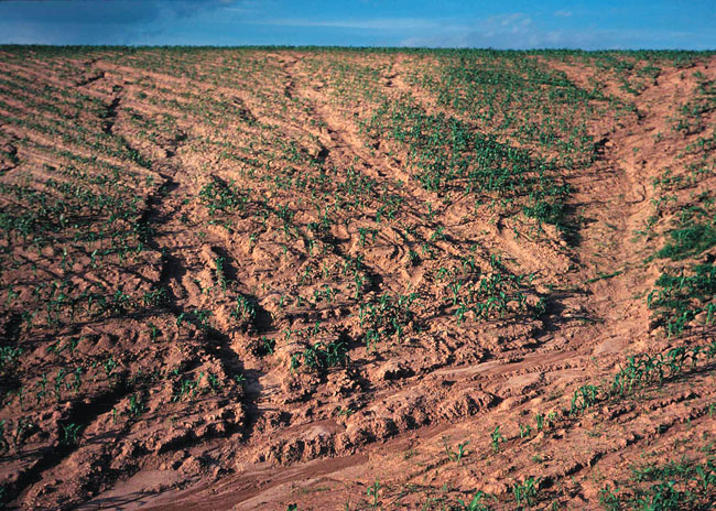 Sage Reference - Encyclopedia of Geography - Rill Erosion
