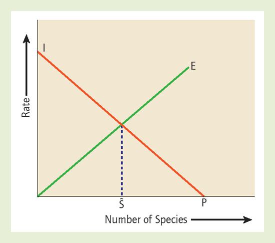 Sage Reference - Encyclopedia of Geography - Single Large or Several ...