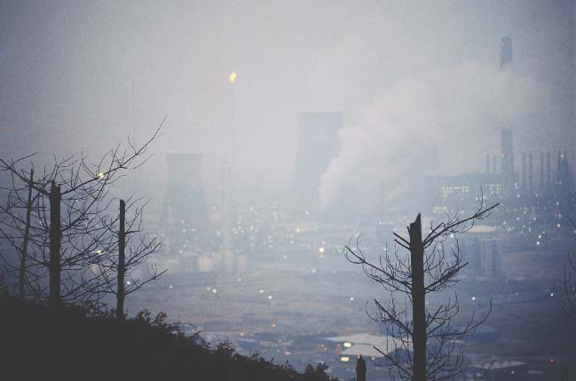 Sage Reference - Encyclopedia of Geography - Acid Rain