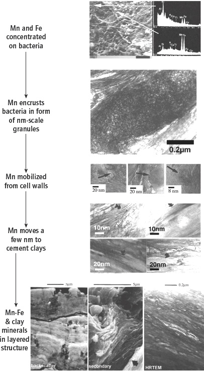 Sage Reference - Encyclopedia of Geography - Desert Varnish