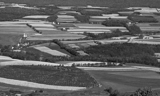 Sage Reference - Encyclopedia of Global Warming and Climate Change - Land Use