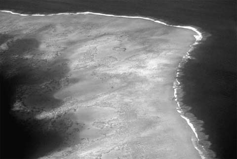 Sage Reference - Encyclopedia of Global Warming and Climate Change - Pacific Ocean