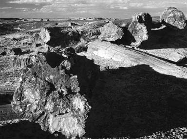 Sage Reference - Encyclopedia of Global Warming and Climate Change ...