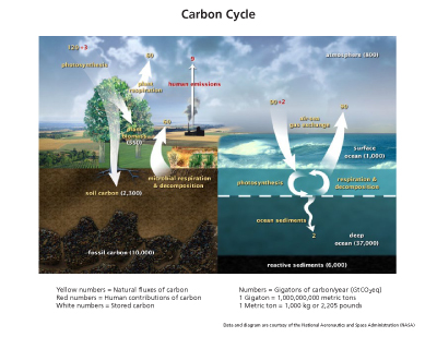 Sage Reference - Multimedia Atlas of Global Warming and Climatology ...