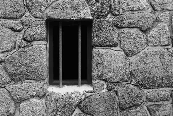 Sage Reference - The Social History of Crime and Punishment in America ...