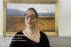 Sage Research Methods Video: Qualitative and Mixed Methods - Concurrent ...