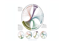 Sage Research Methods: Data Visualization - Visualizing Qualitative Data
