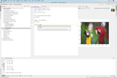 Sage Research Methods: Data Visualization - Plotting Images