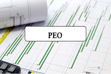 Sage Research Methods Video: Qualitative and Mixed Methods - PEO - A ...