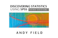 Sage Research Methods Video - The Syntax Window