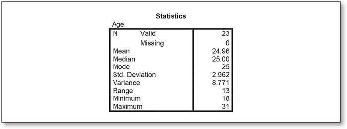 Descriptive Statistics Table Example