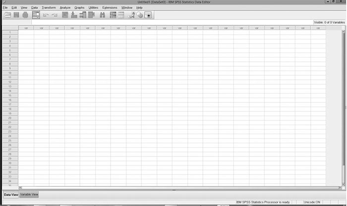 Sage Research Methods - Quick Guide to IBM® SPSS®: Statistical Analysis ...