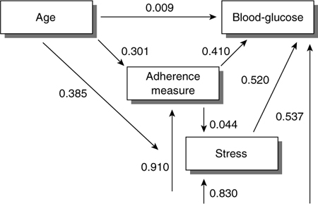 Path Diagram Statistics