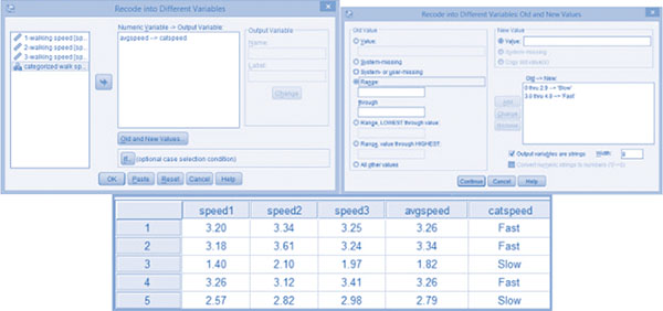 Sage Research Methods - Using IBM® SPSS® Statistics: An Interactive ...